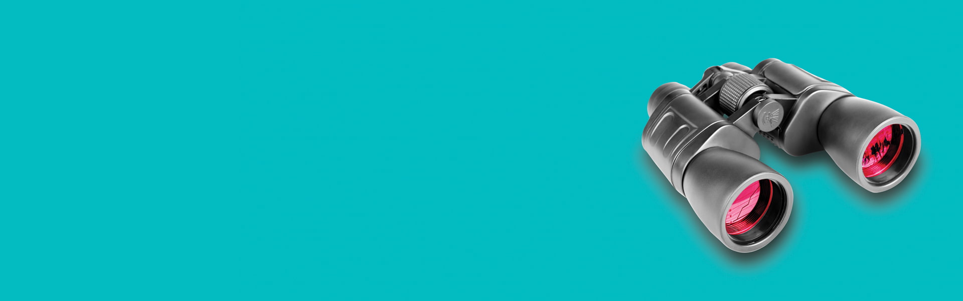 Davy | MarketWatch | Outlook 2021 | Looking past the pandemic